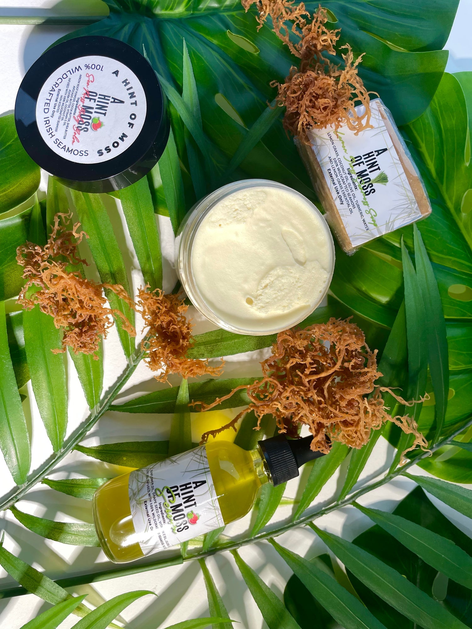 5 Essential Benefits of Sea Moss for Skin – A Hint Of Moss